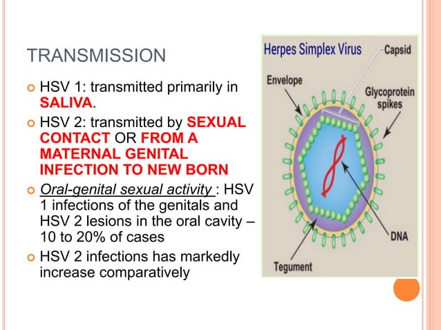 Herpes simplex virus, classification, clinical findings, oral ...