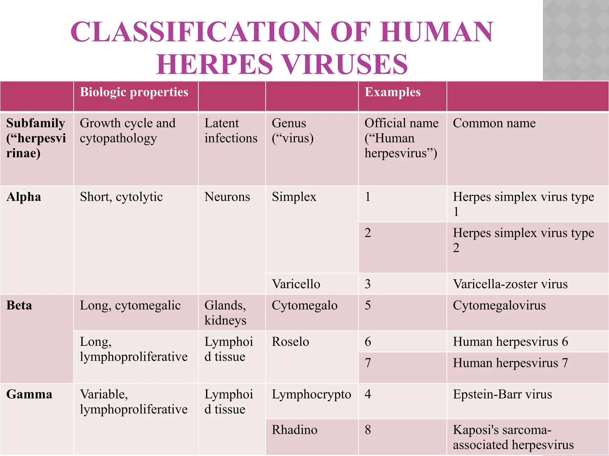 herpessimplexvirus-150808075848-lva1-app6891.pptx