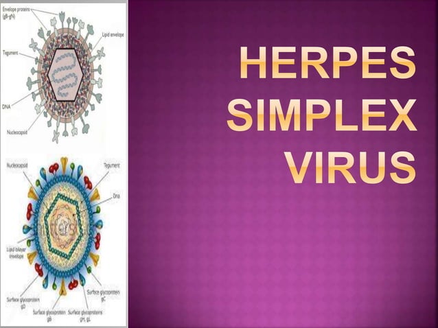 Herpes simplex virus | PPTX