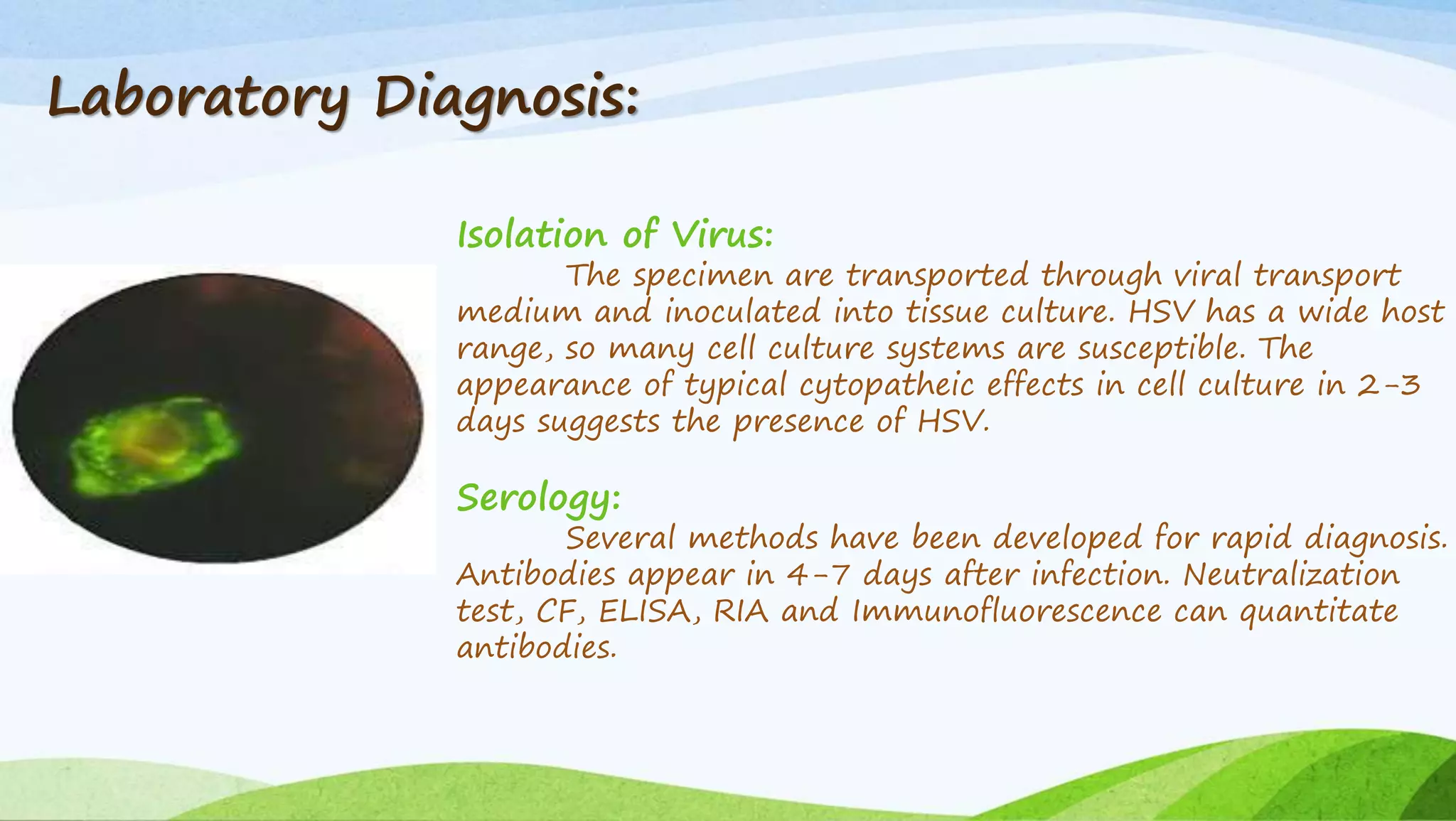 Herpes simplex virus | PPTX