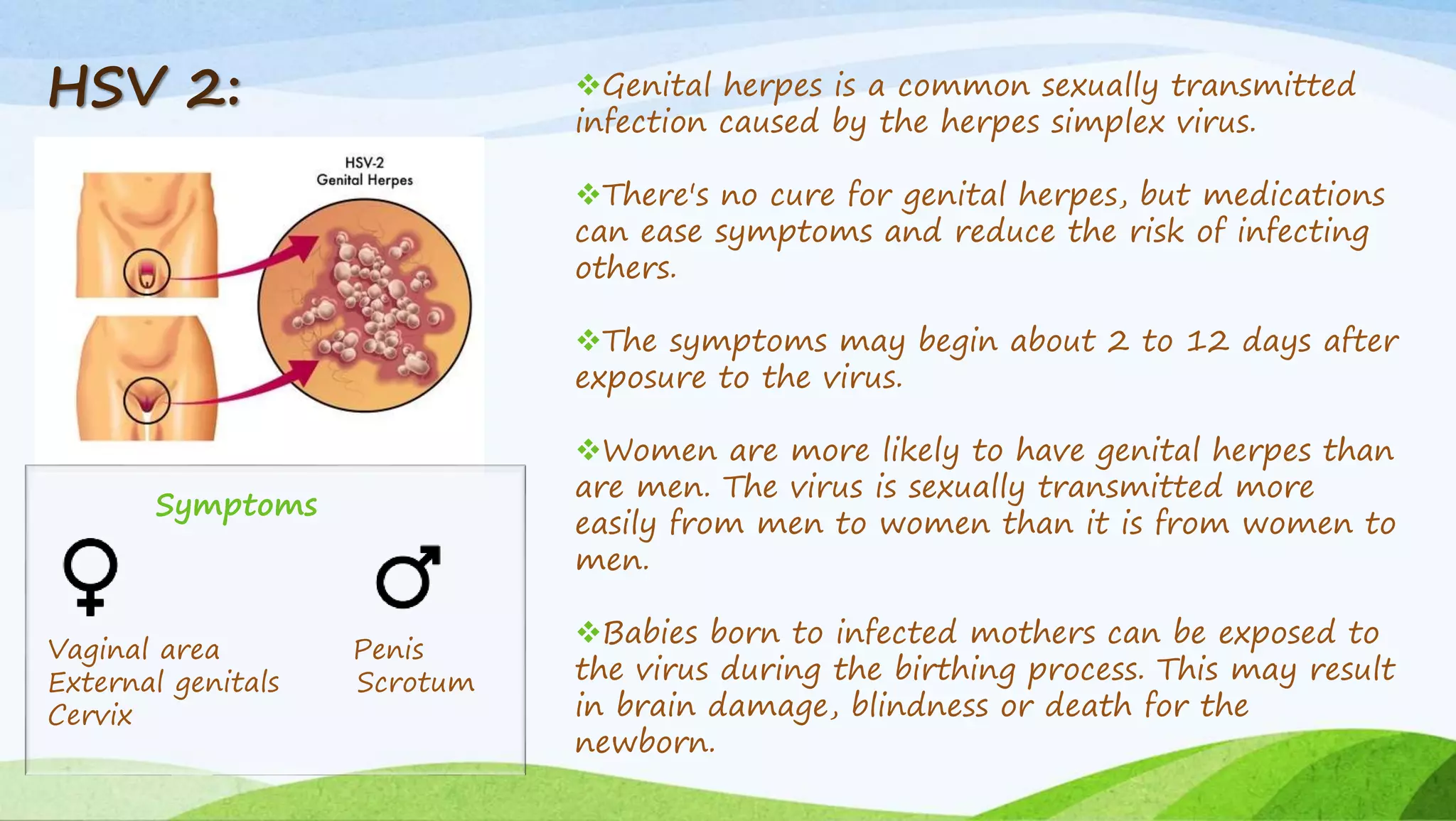 Herpes simplex virus | PPTX