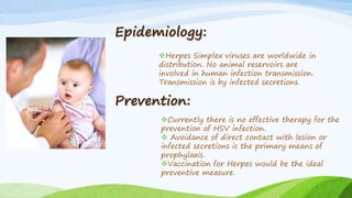 Herpes simplex virus | PPTX