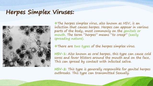 Herpes simplex virus | PPTX | Infectious Diseases | Diseases and Conditions