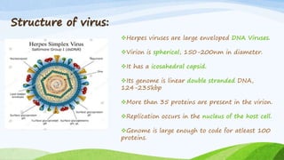 Herpes simplex virus | PPTX