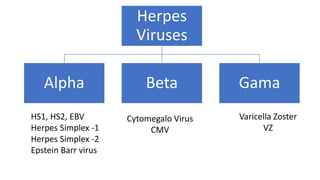 Herpes simplex virus | PDF