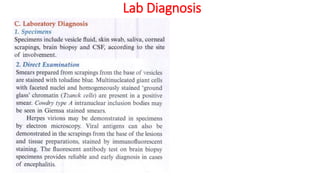 Herpes simplex virus | PDF