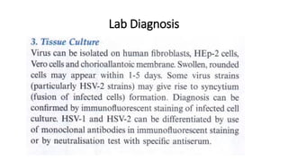 Herpes simplex virus | PDF