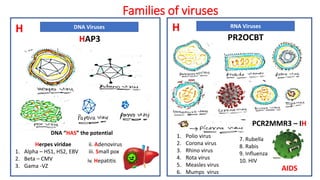 Herpes simplex virus | PDF