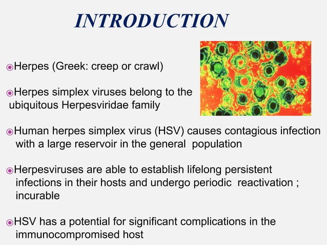 herpes simplex virus- ppt.pptx