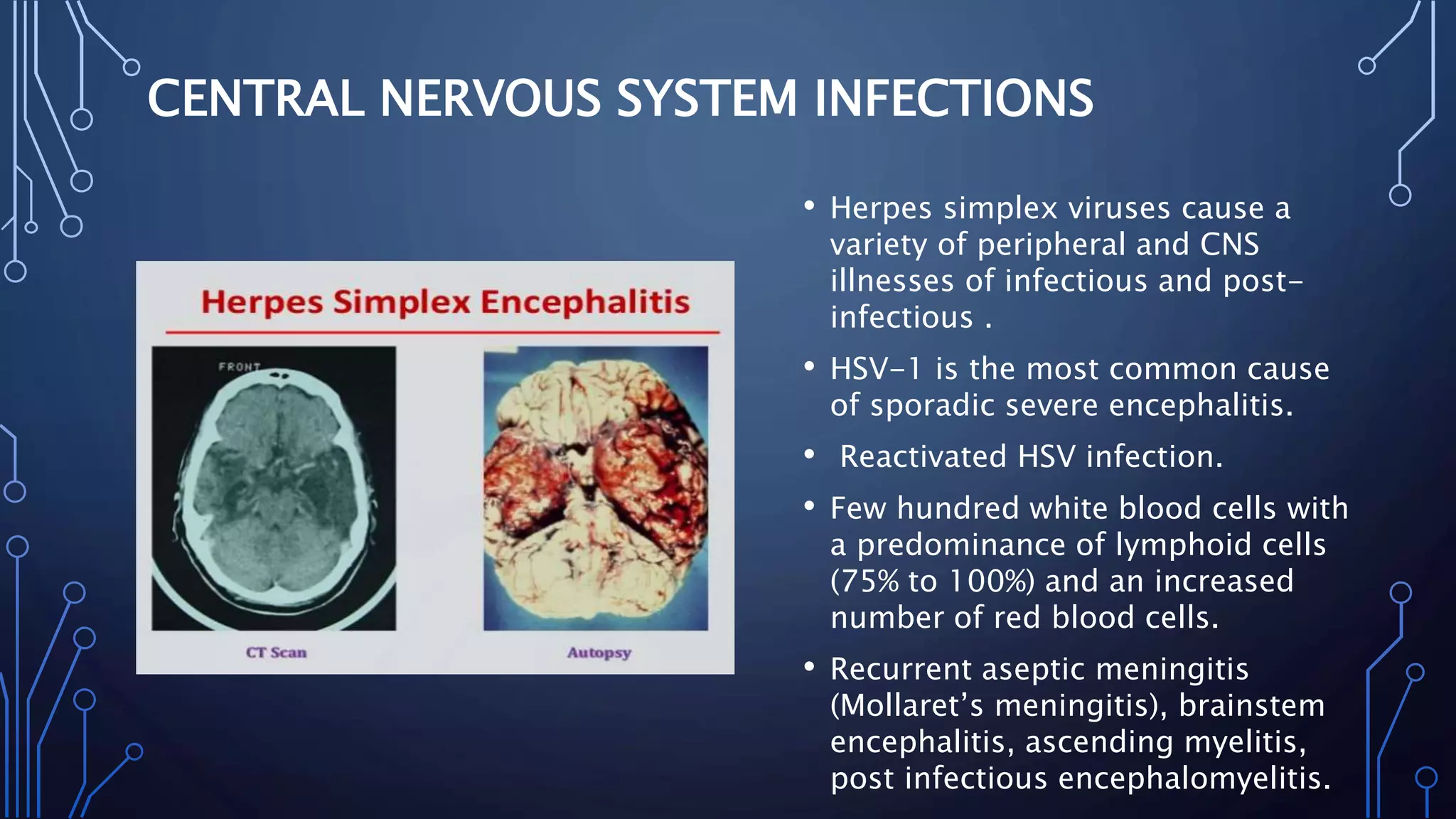 Herpes simplex virus Type 1 and Type 2 | PPTX