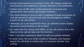 Herpes simplex virus Type 1 and Type 2 | PPTX