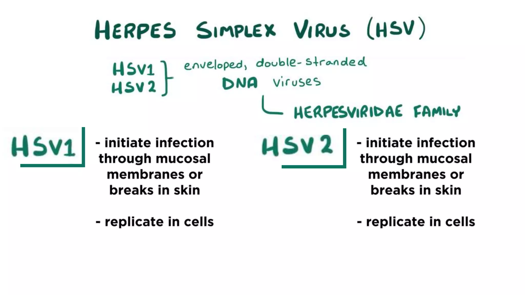 Herpes Simplex Virus 1&2 | PPTX