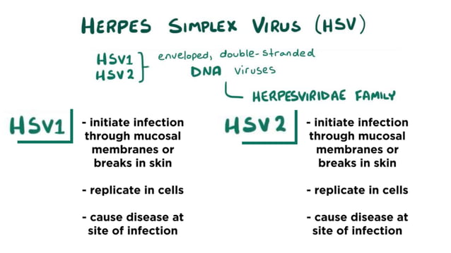 Herpes Simplex Virus 1&2 | PPTX