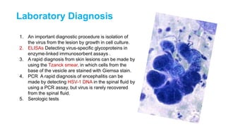 Herpes simplex virus 1 and 2 (HSV 1 and 2)) | PPTX