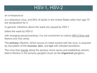 Herpes simplex in oral cavity | PPT