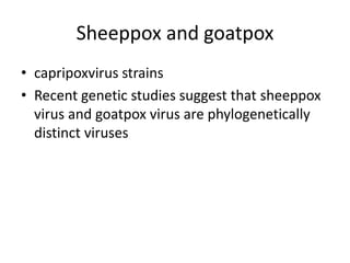 Herpesviridae.pptx