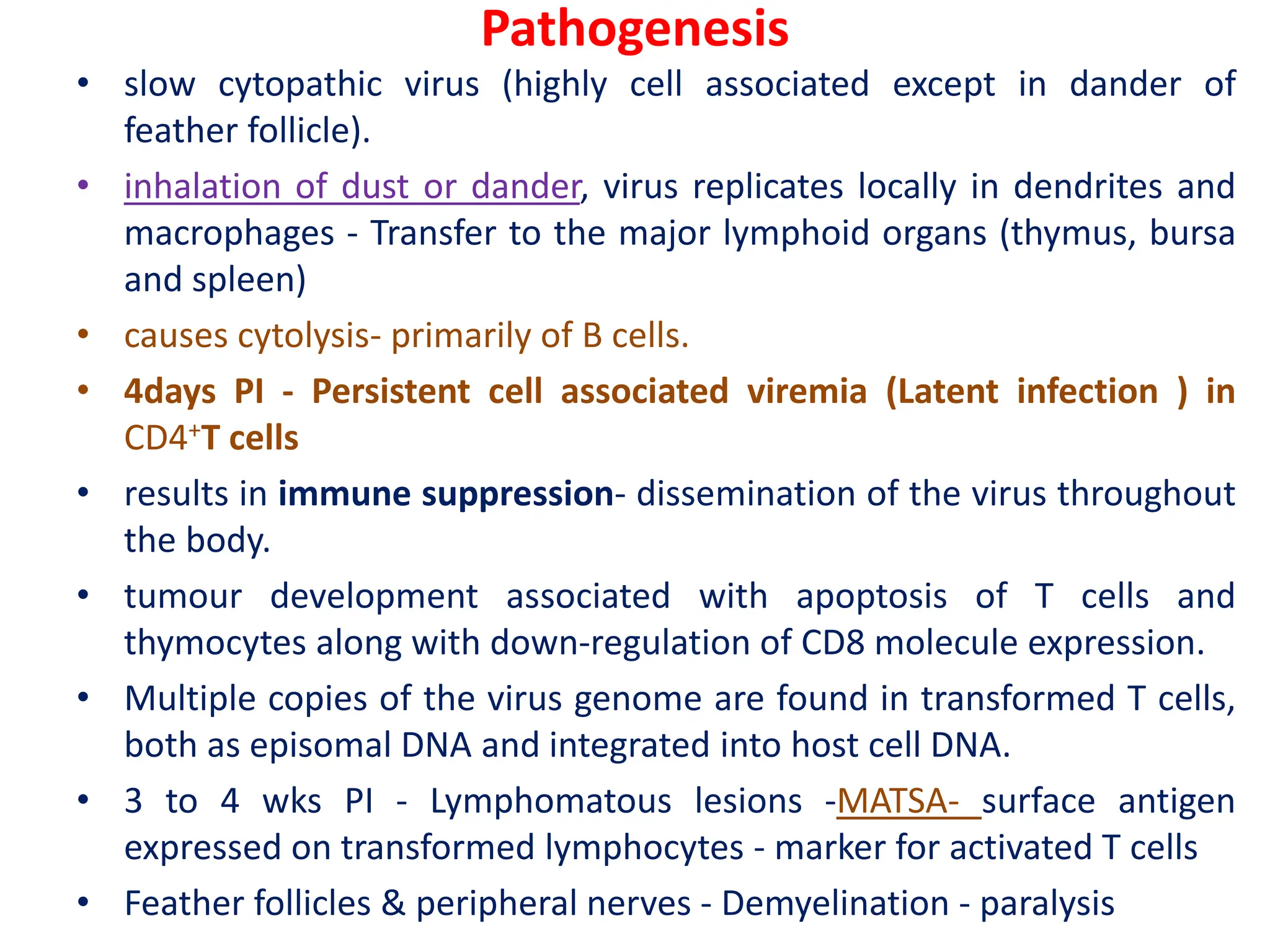 Herpes viridae.pptx virology family herpes virudae | PPTX