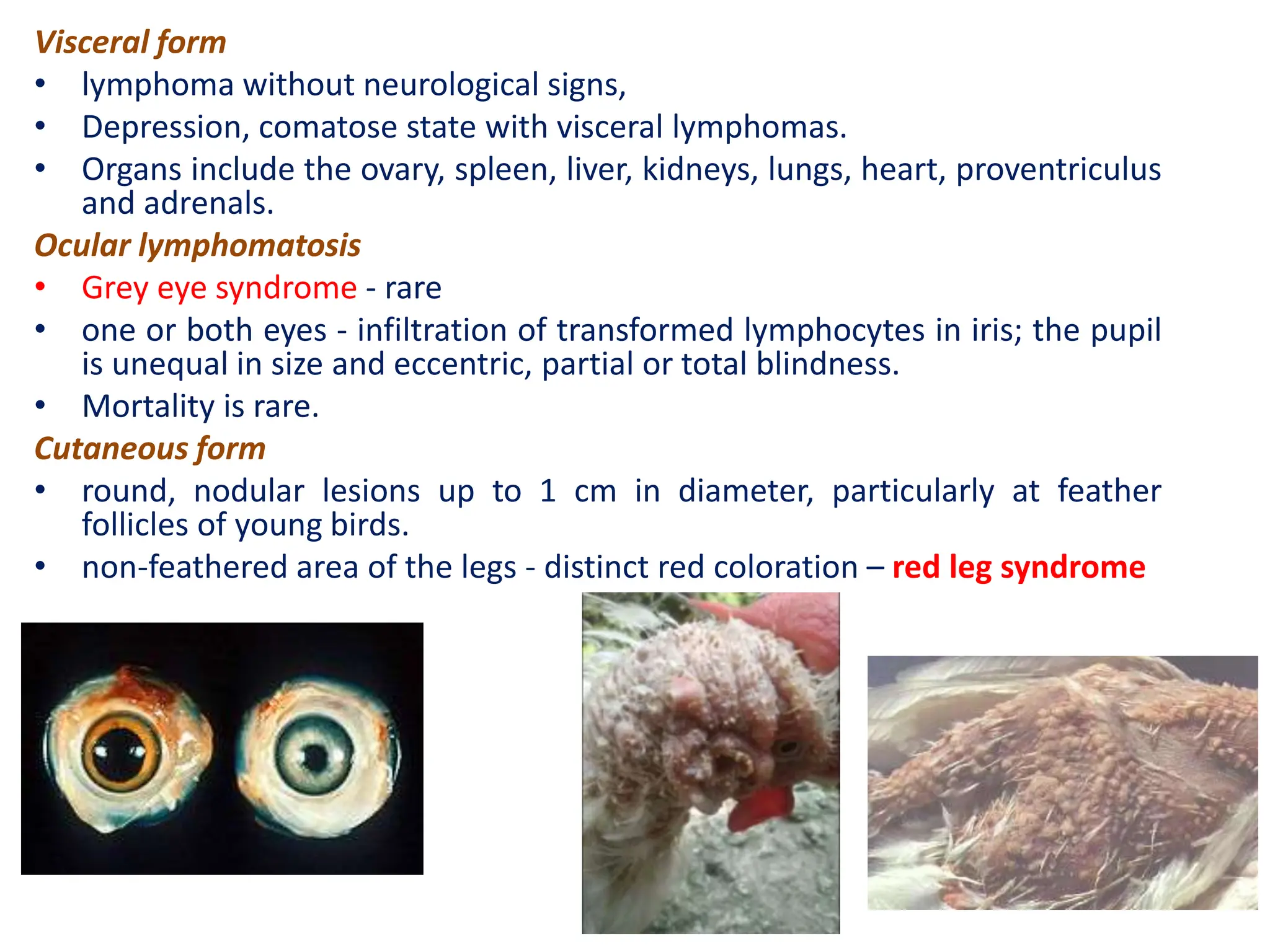 Herpes viridae.pptx virology family herpes virudae | PPTX