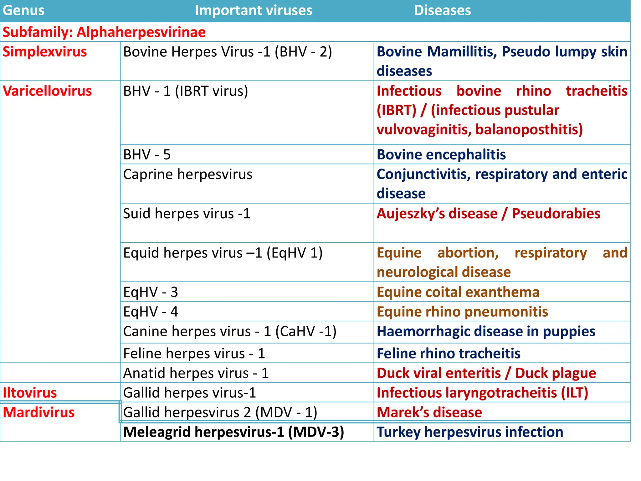 Herpes viridae.pptx virology family herpes virudae | PPTX