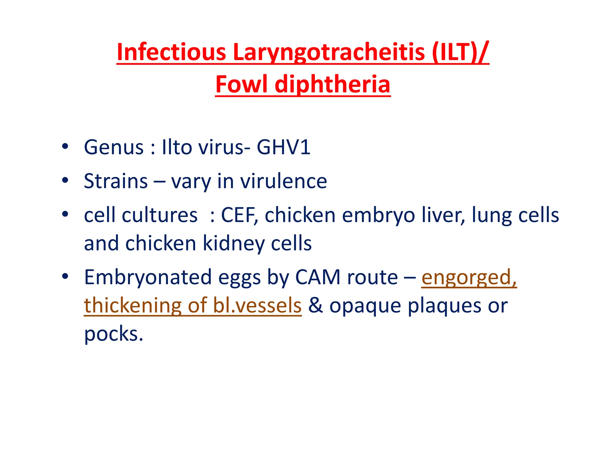 Herpes viridae.pptx virology family herpes virudae | PPTX