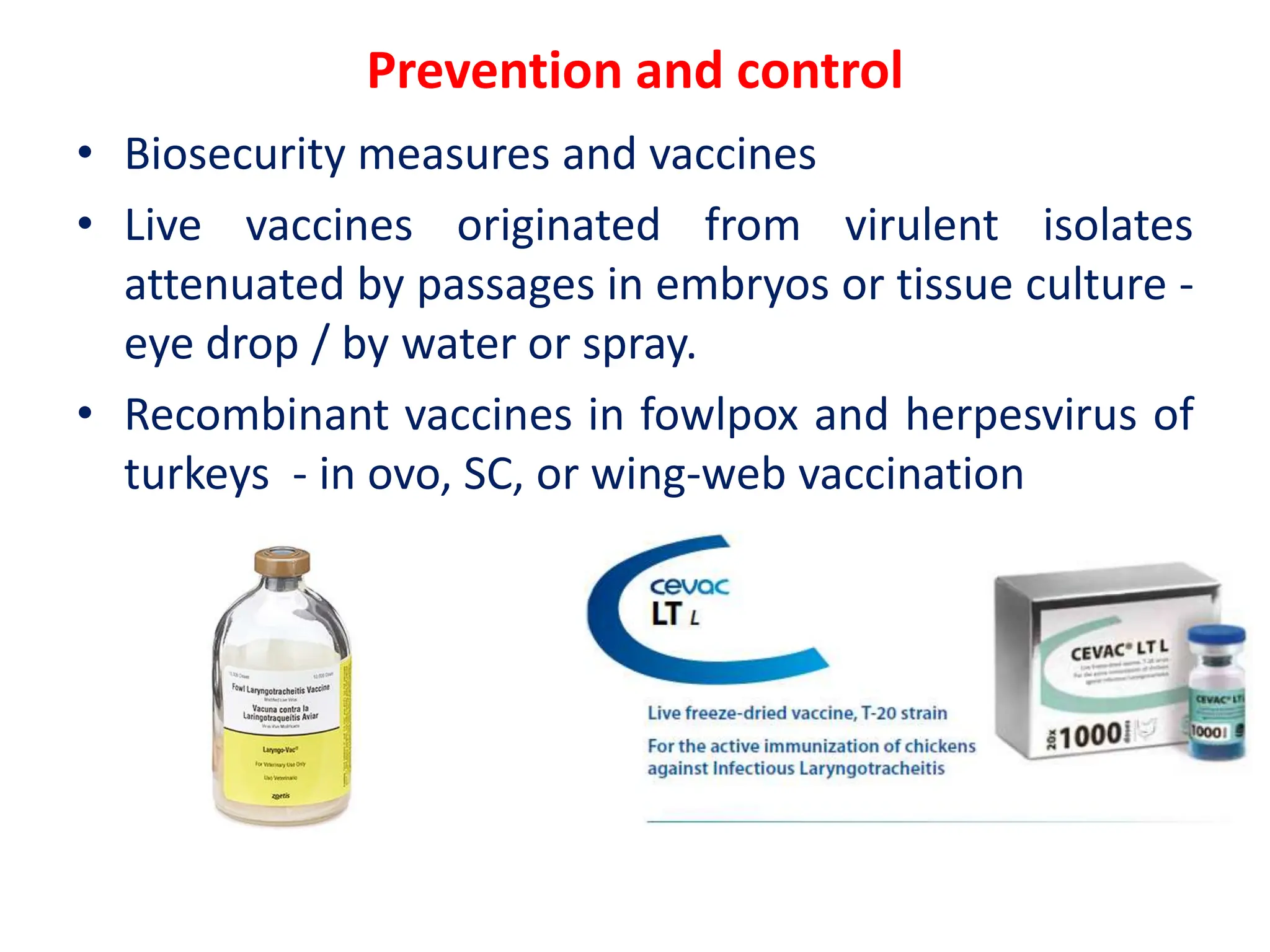 Herpes viridae.pptx virology family herpes virudae | PPTX