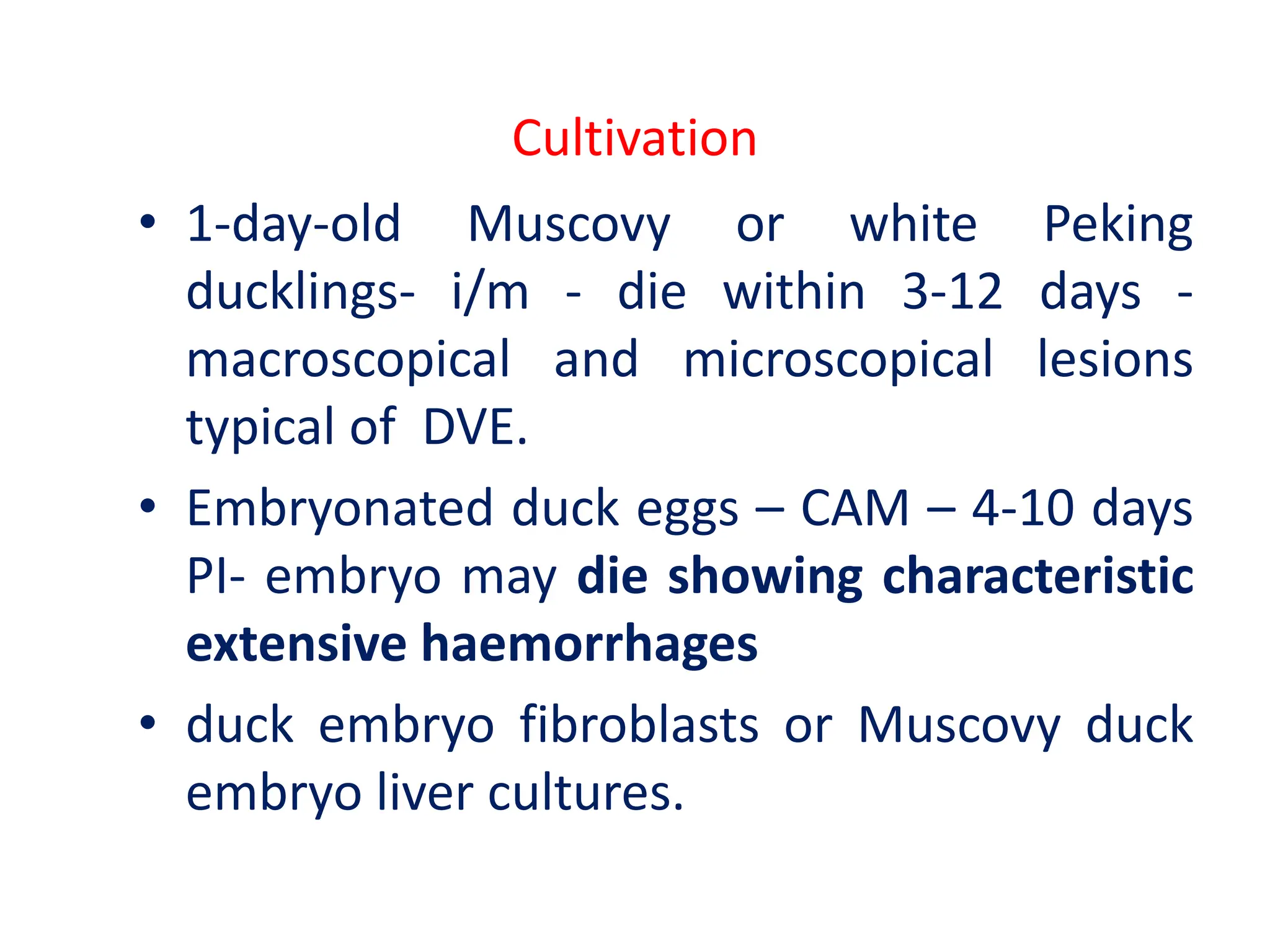 Herpes viridae.pptx virology family herpes virudae | PPTX