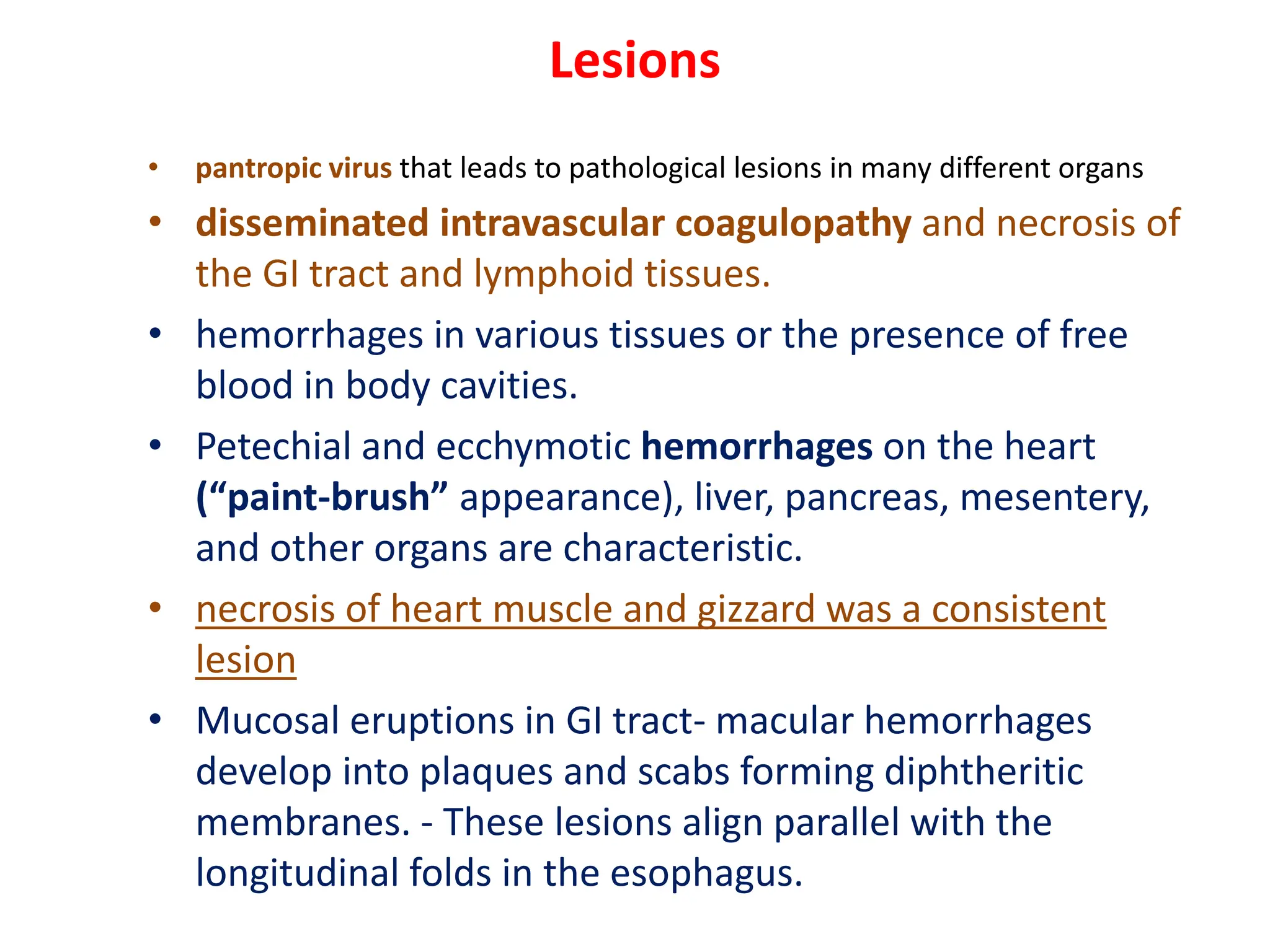 Herpes viridae.pptx virology family herpes virudae | PPTX