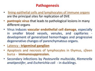 Herpes viridae.pptx virology family herpes virudae | PPTX