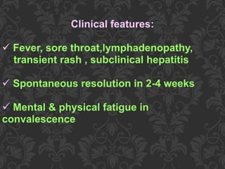 Herpes virus | PPTX