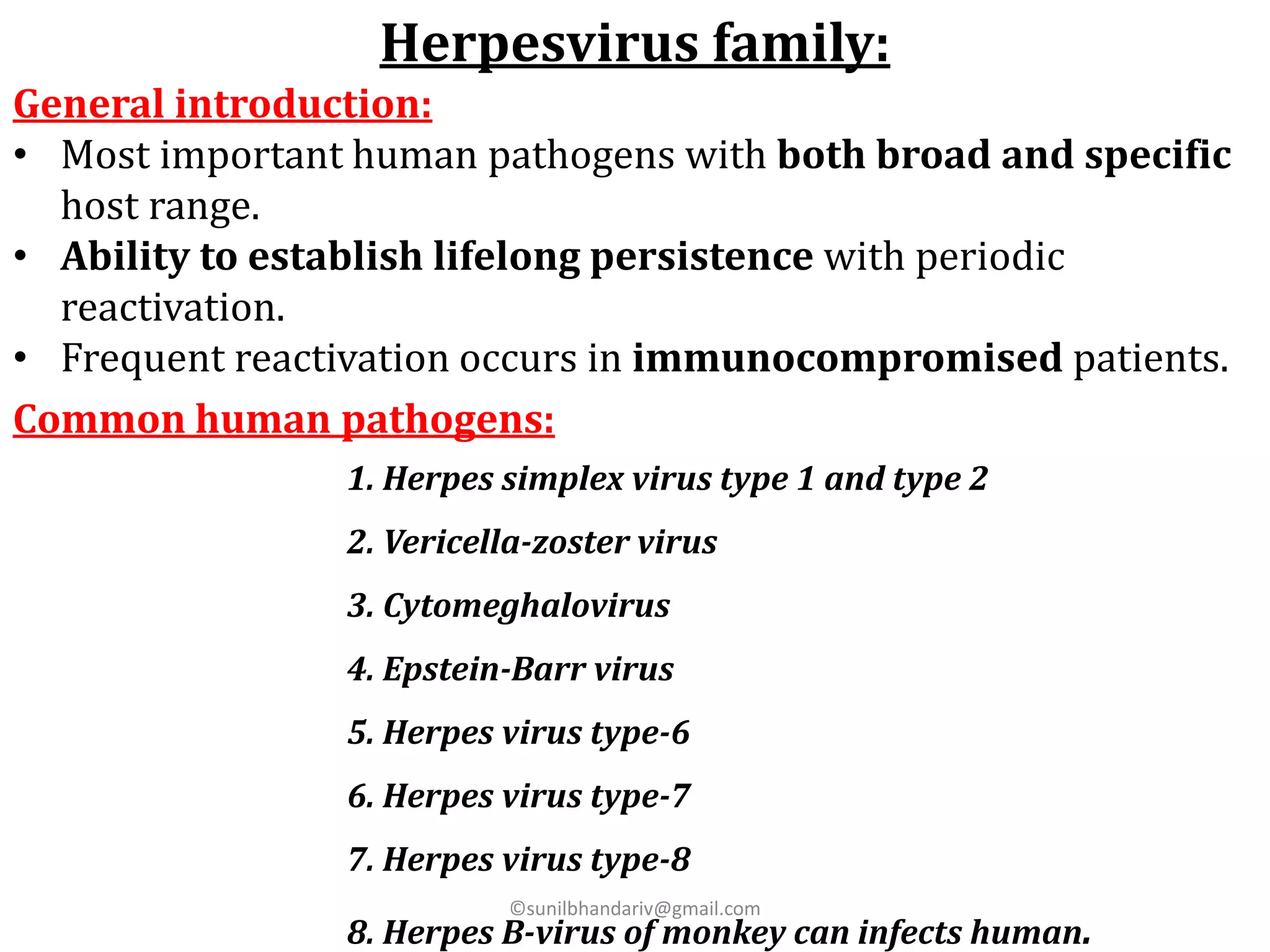 Herpesvirus | PDF