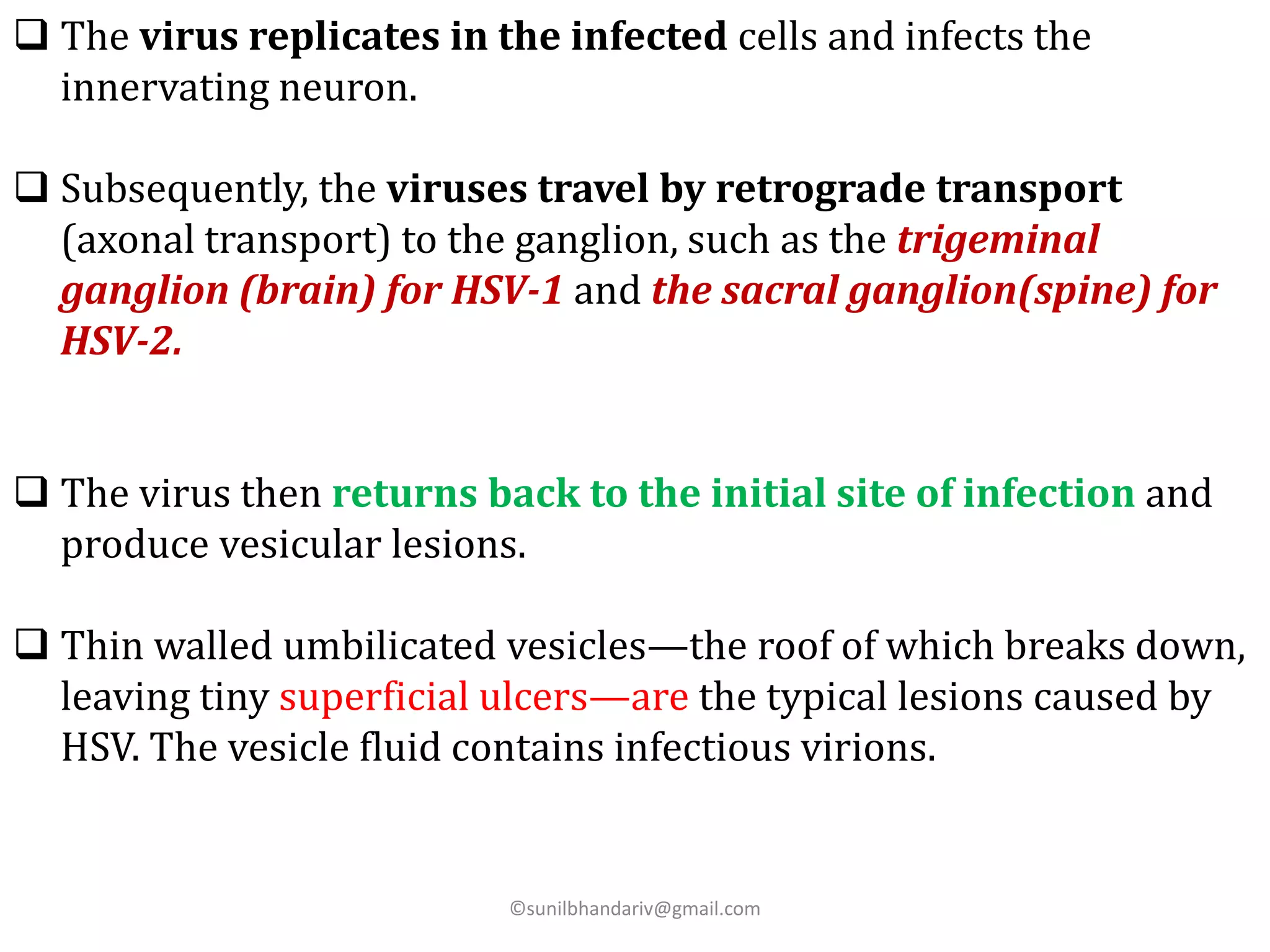 Herpesvirus | PDF