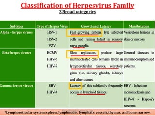 Herpes Viruses Classification