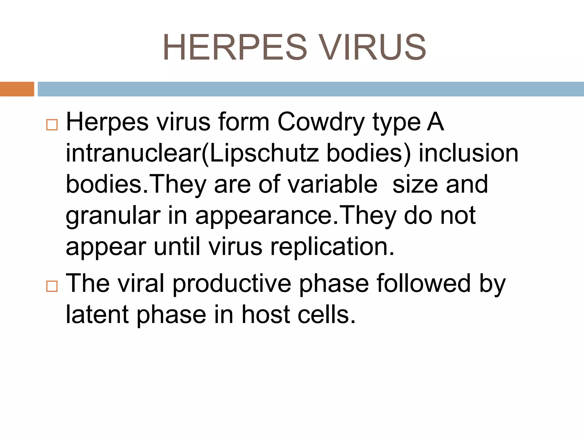 Herpes Virus.ppt