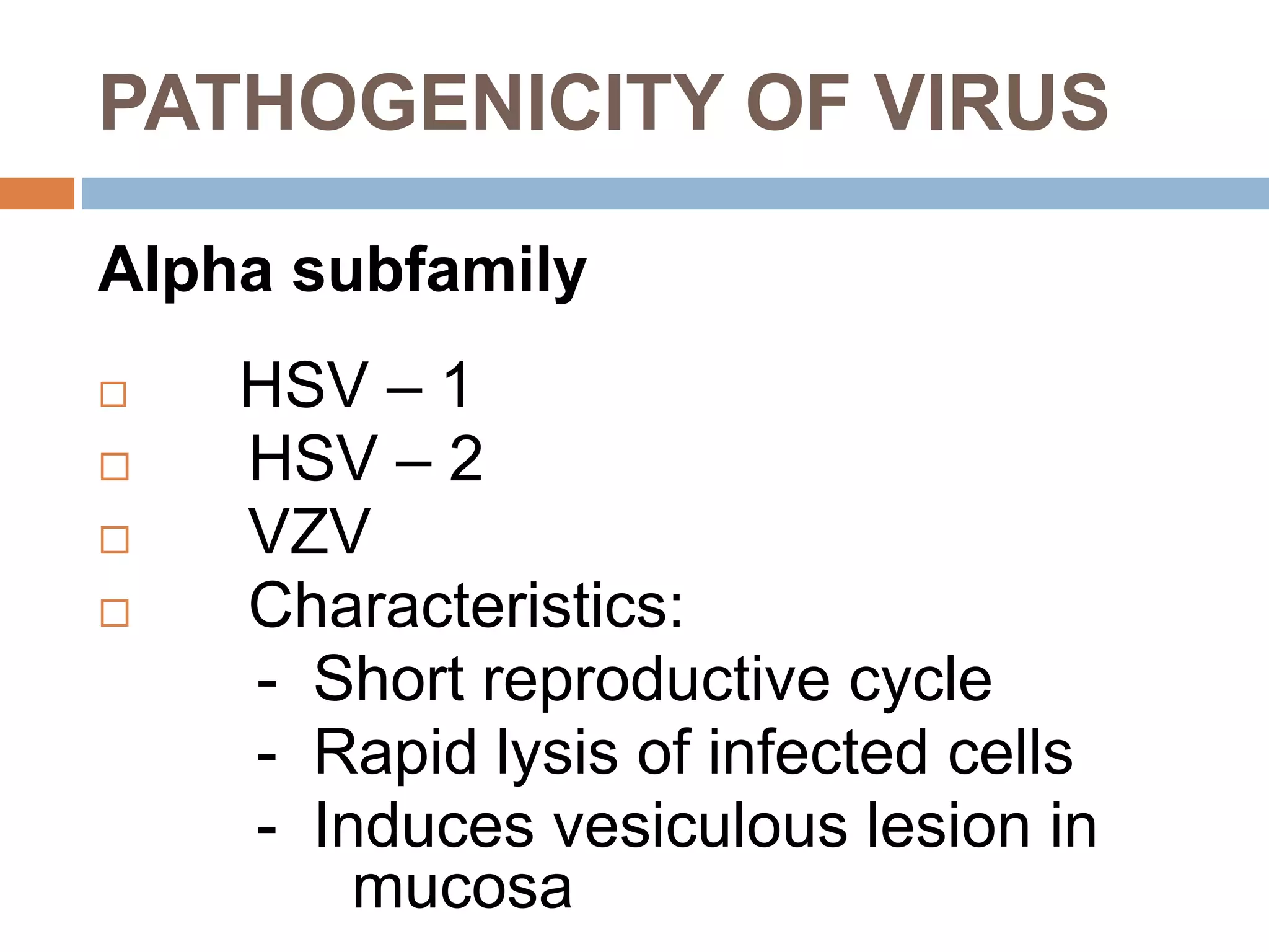 Herpes Virus.ppt