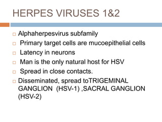 Herpes Virus.ppt