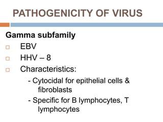 Herpes Virus.ppt