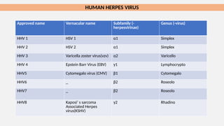 HERPES VIRUS; FEATURES AND INFECTIONS.pptx