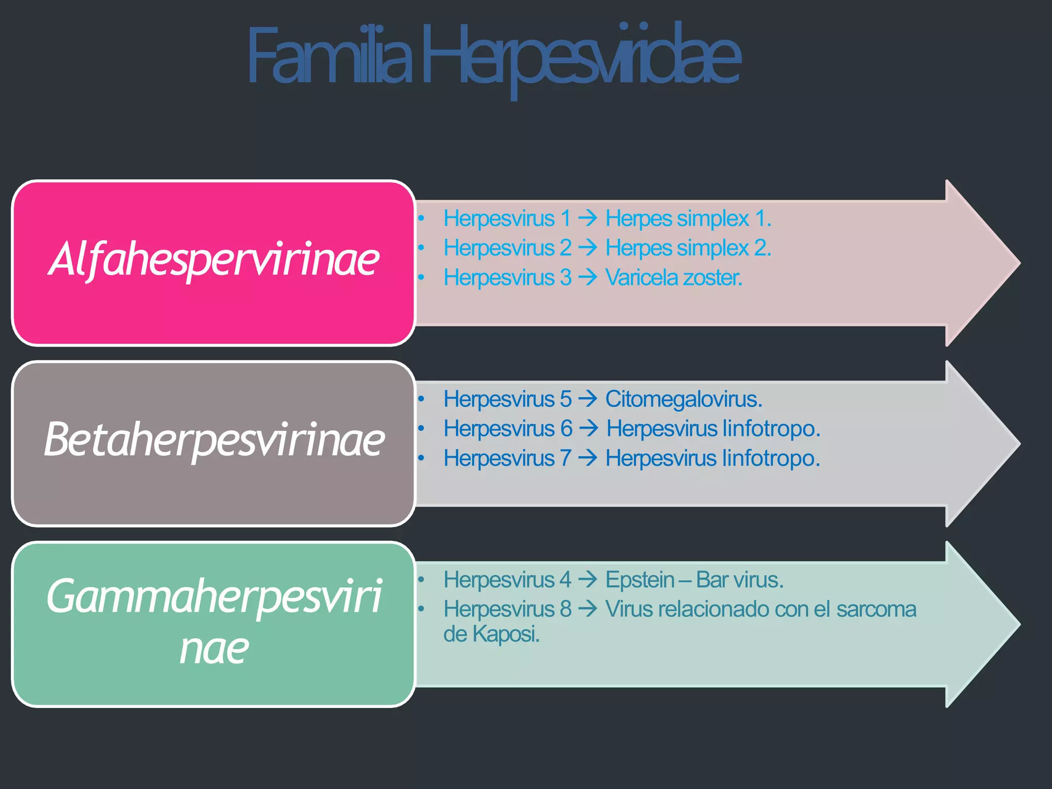 Herpesvirus 4 virus epstein barr | PPTX | Infectious Diseases ...