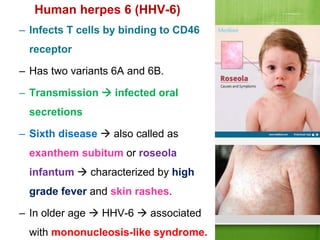 Herpes Virus and Varicella | PPT
