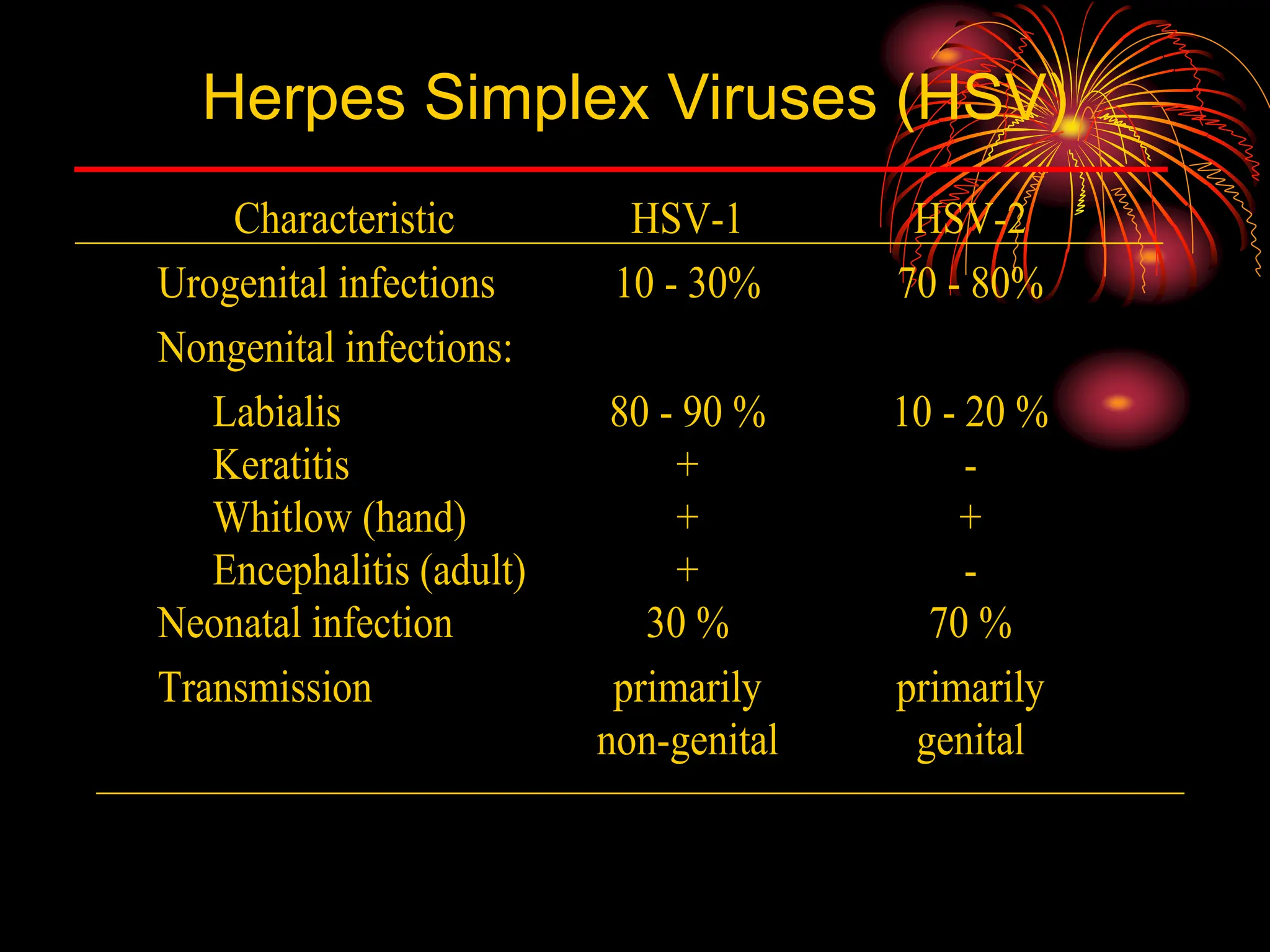 herpesviruses bacteria virus and infection | PPT