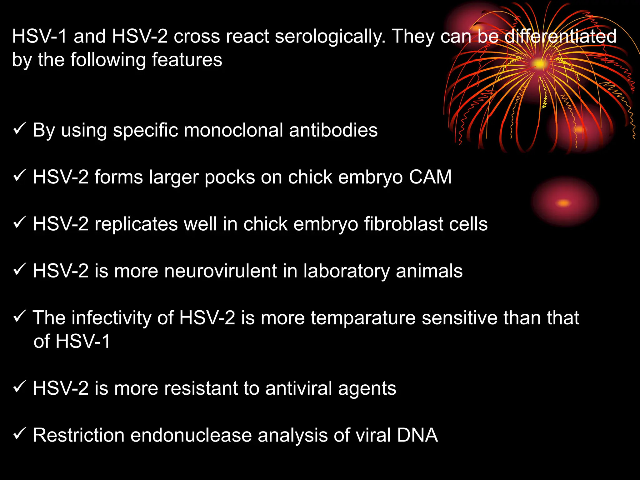 herpesviruses bacteria virus and infection | PPT