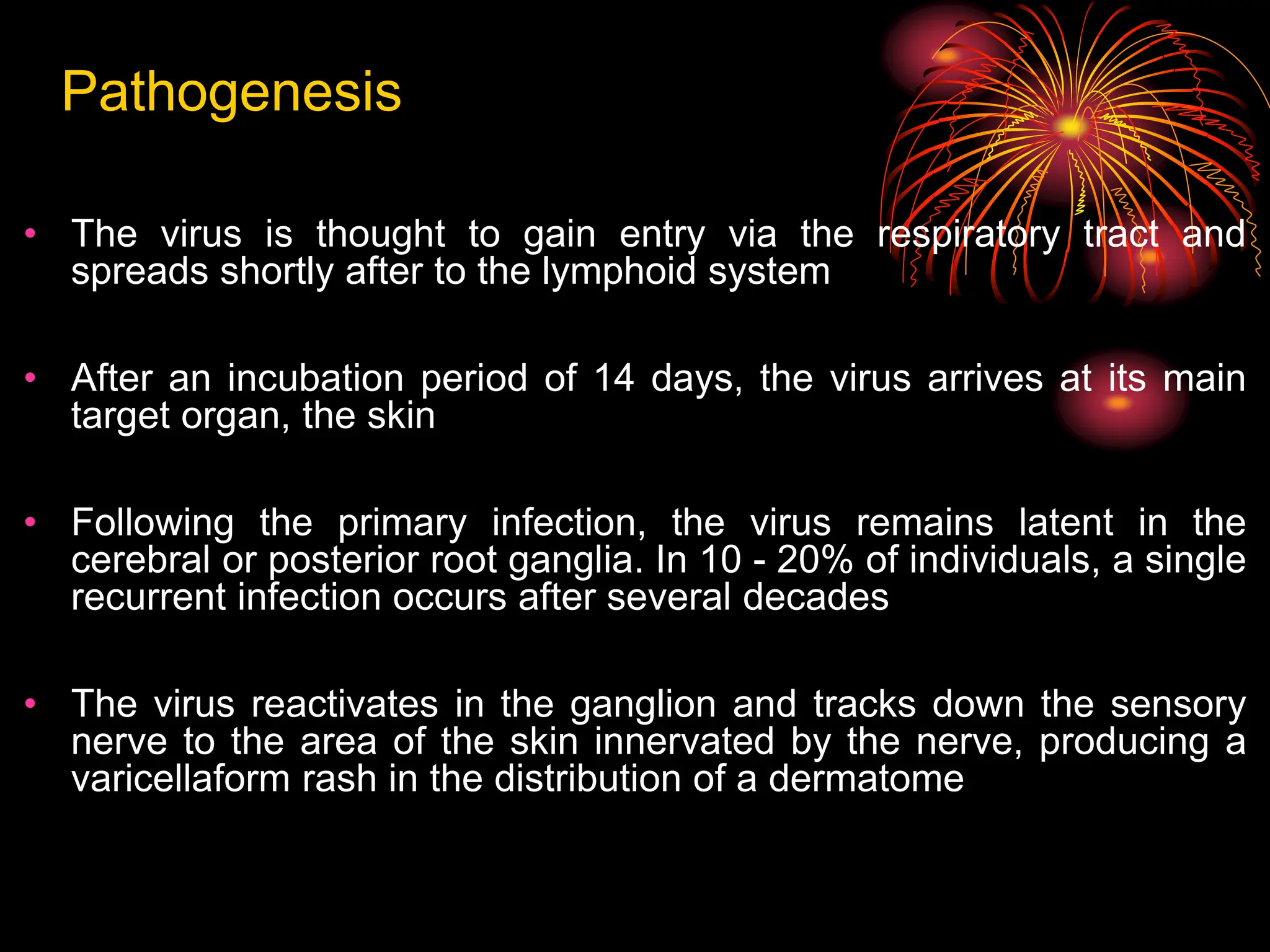 herpesviruses bacteria virus and infection | PPT