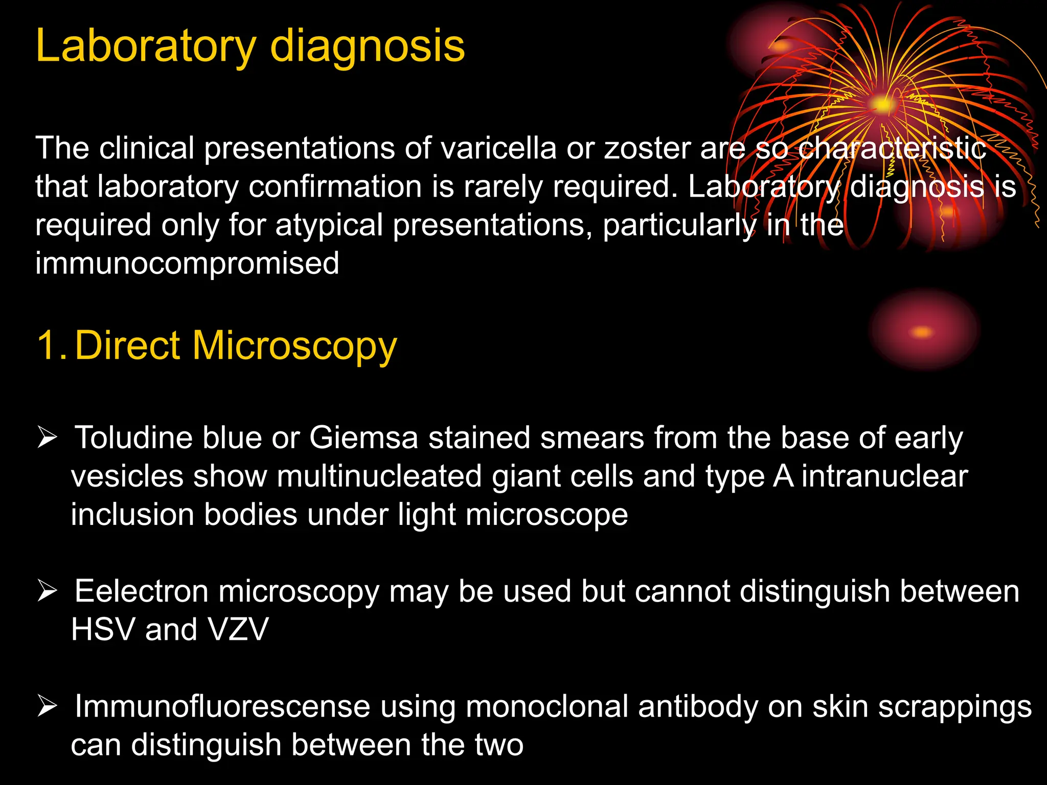 herpesviruses bacteria virus and infection | PPT