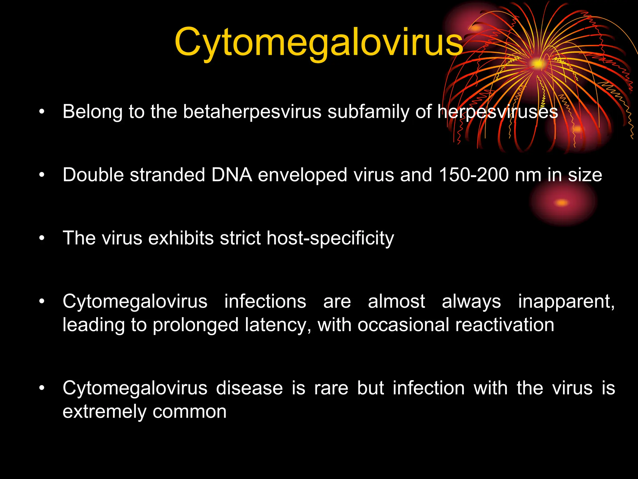 herpesviruses bacteria virus and infection | PPT