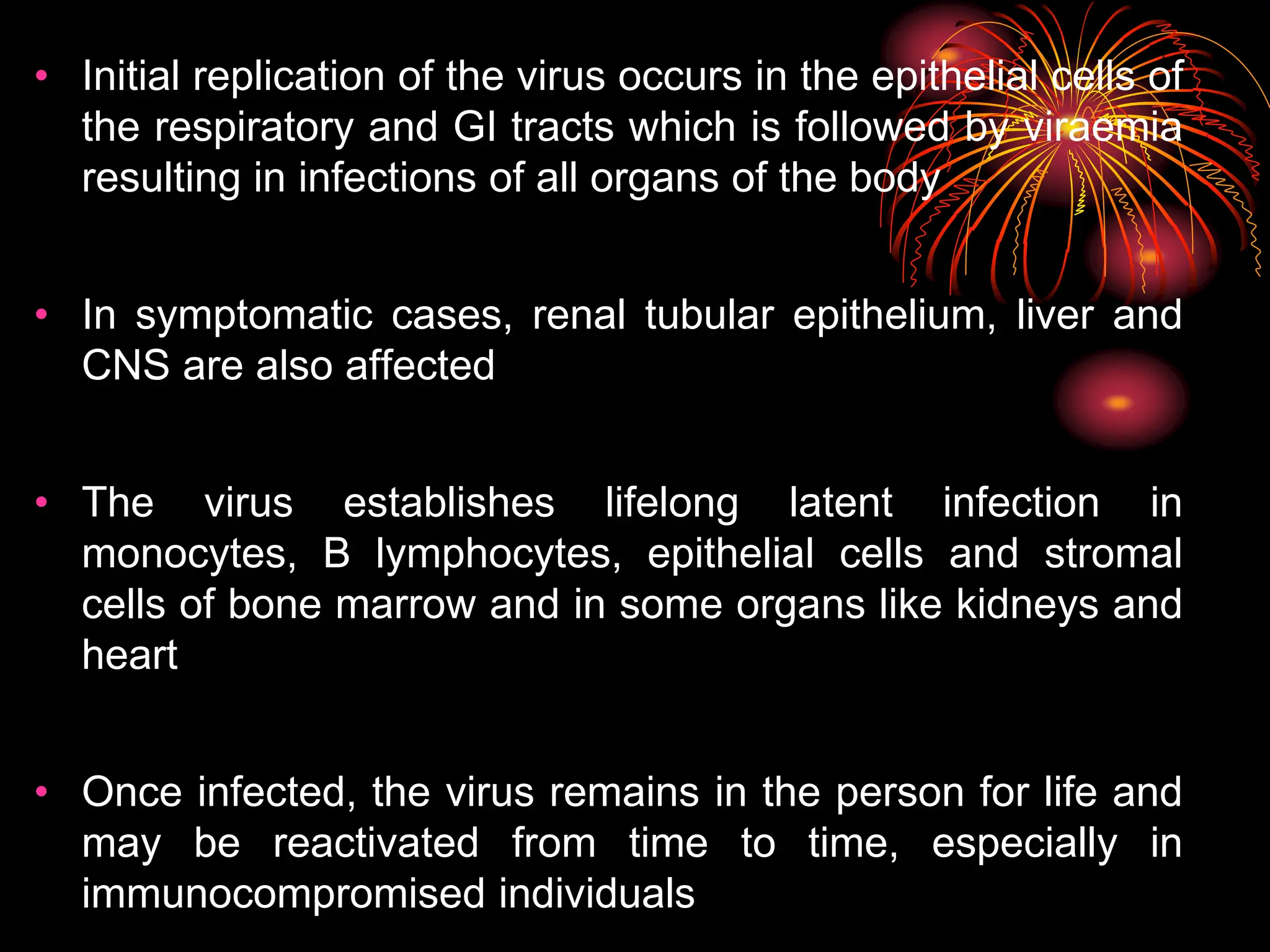 herpesviruses bacteria virus and infection | PPT