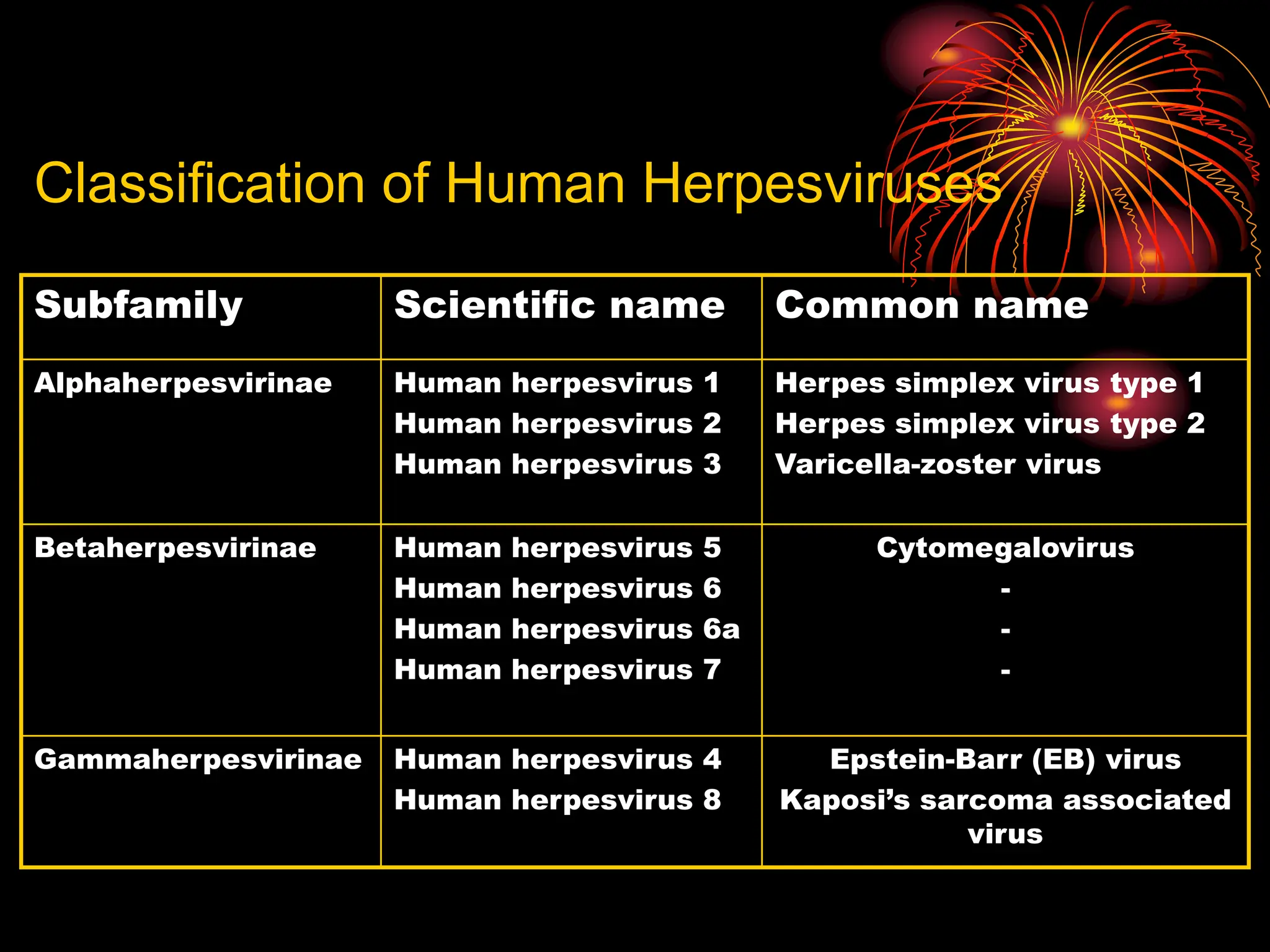 herpesviruses bacteria virus and infection | PPT