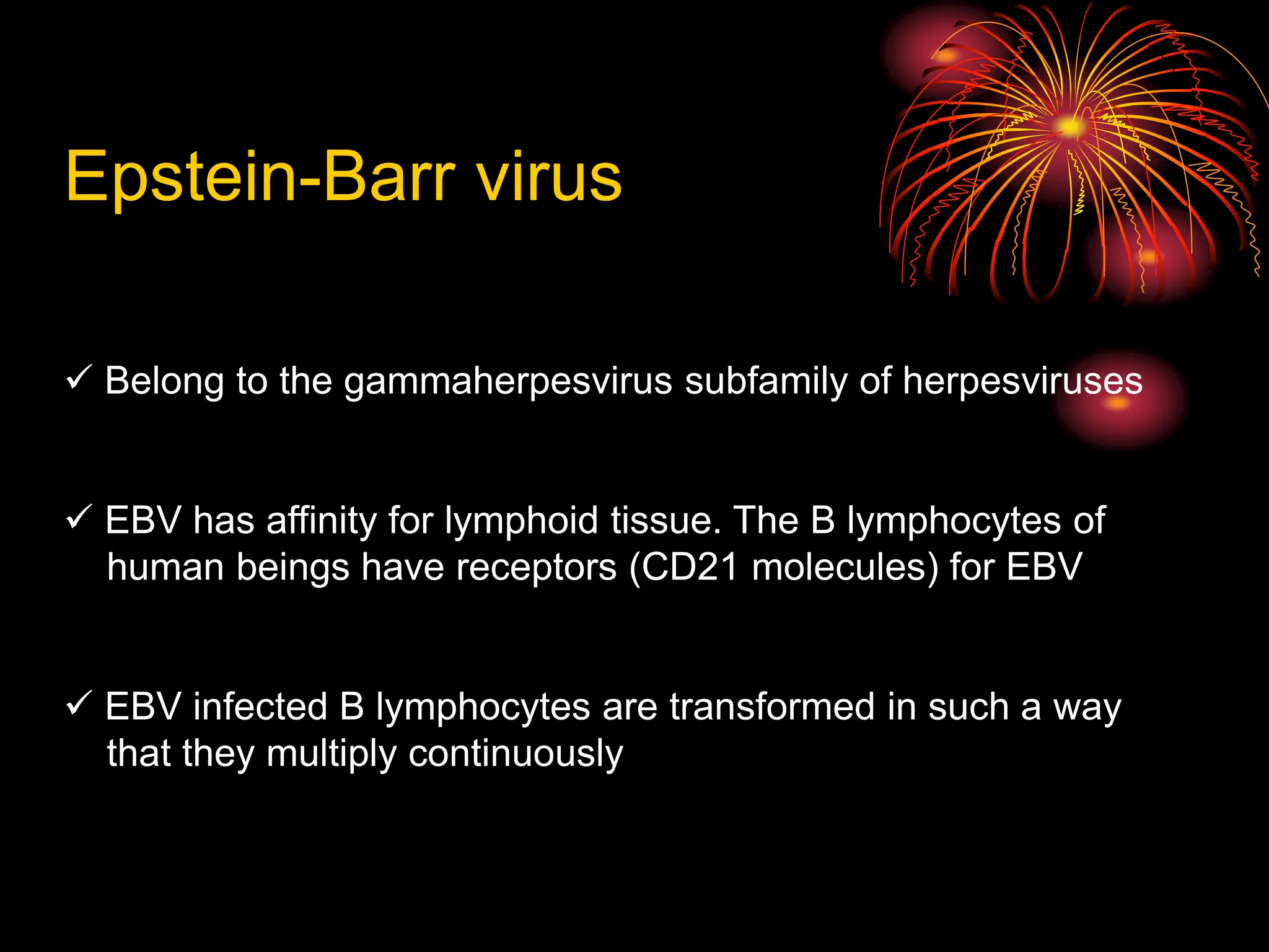 herpesviruses bacteria virus and infection | PPT