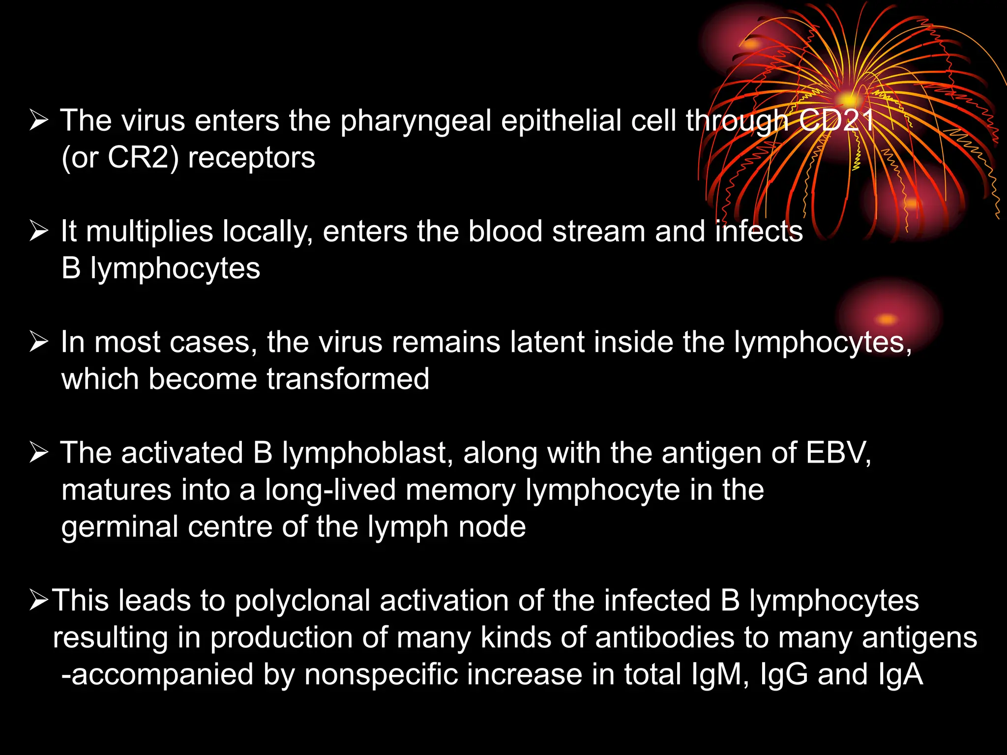 herpesviruses bacteria virus and infection | PPT