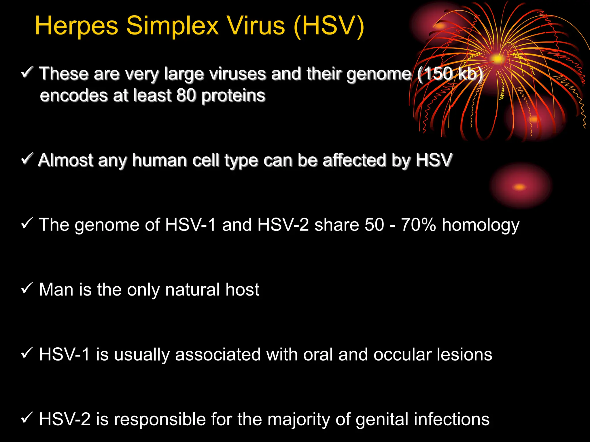 herpesviruses bacteria virus and infection | PPT