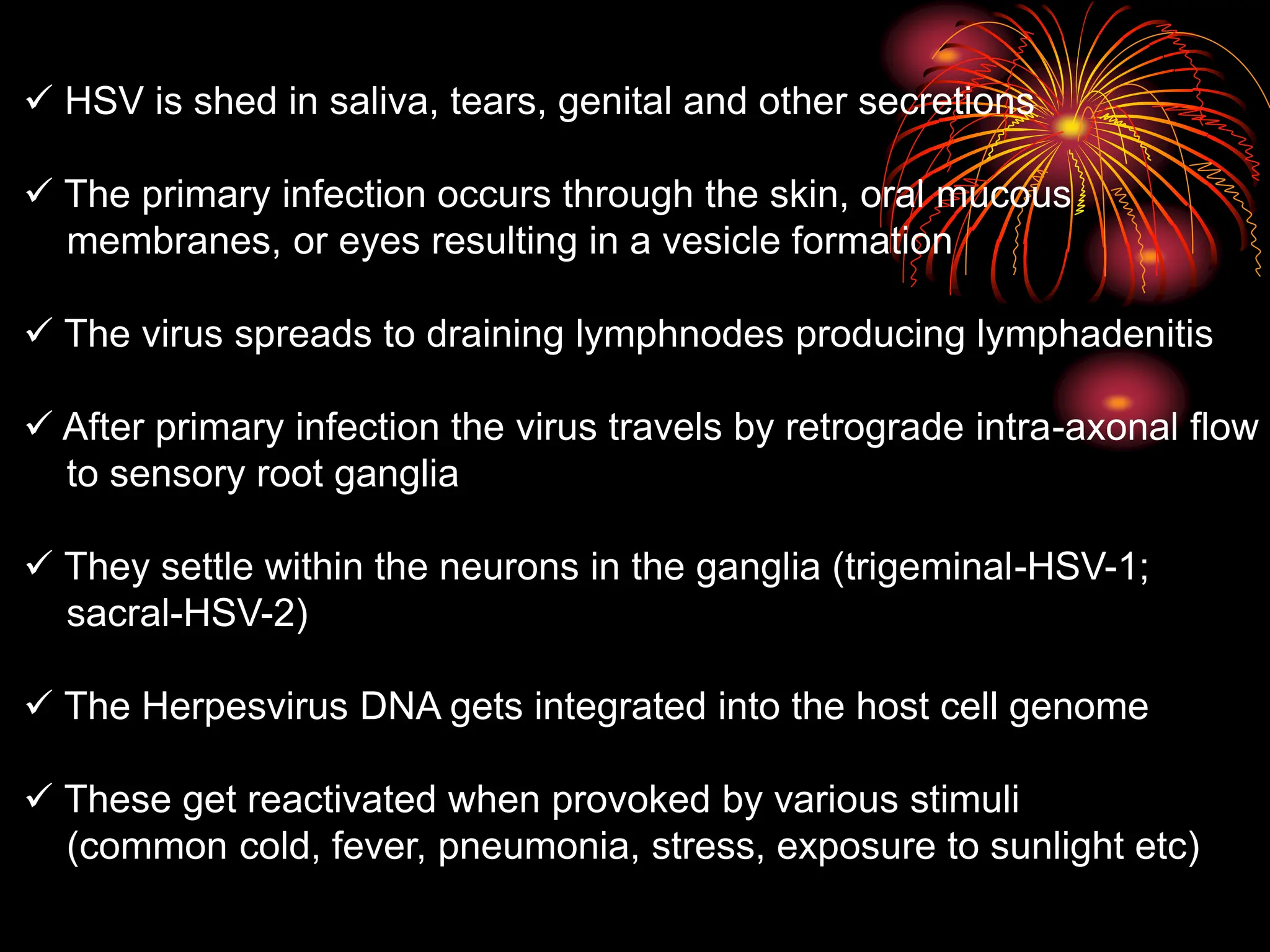 herpesviruses bacteria virus and infection | PPT
